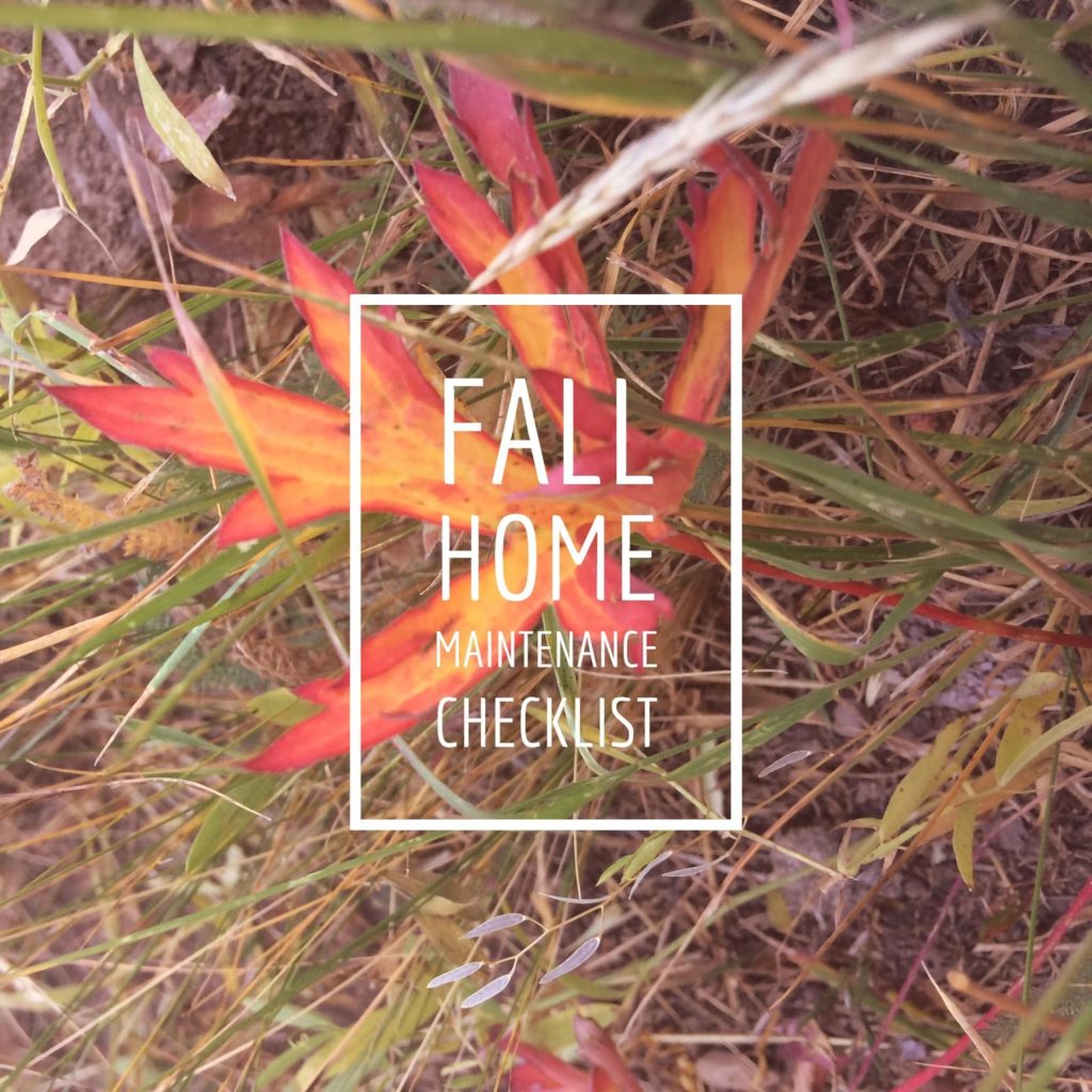 Fall Maintenance Guide – Thorson Restoration